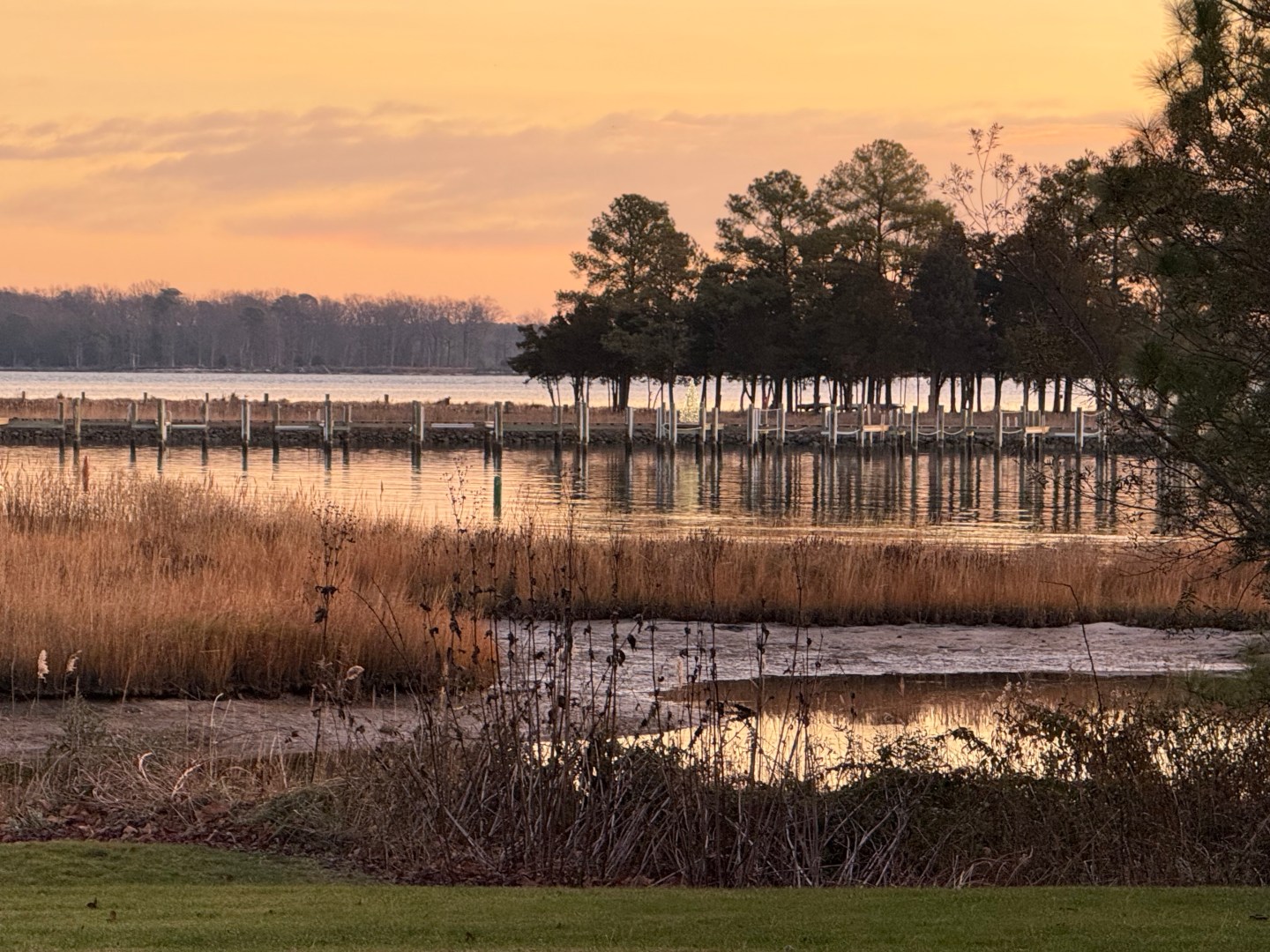 An Argument for Space–Empty Space–in Native and Naturalistic Garden ...